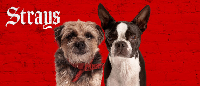 Blu-ray™ Review: “Strays” Is A Funny And Extremely Foul-Mouthed Film ...
